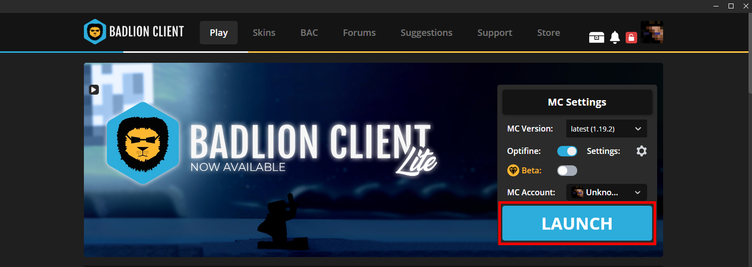 In-game Skin Changer – Badlion Support: Help Center for All Your Questions